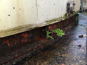 Tank Base Corrosion Protection - Vina Trade Synergy